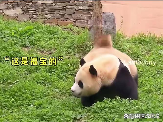 女生说忙的幽默回答图标