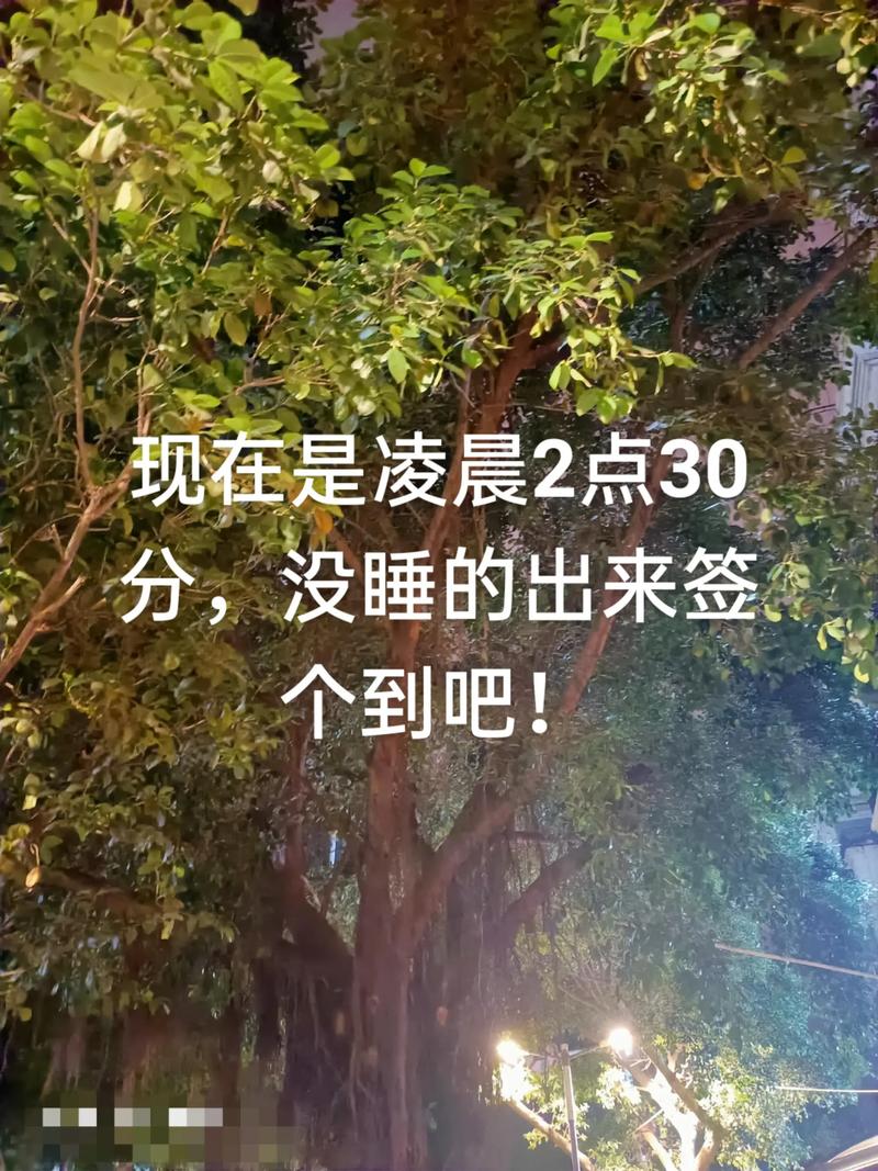 K遇凌晨截图