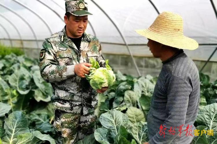 民兵营长享受什么待遇图标