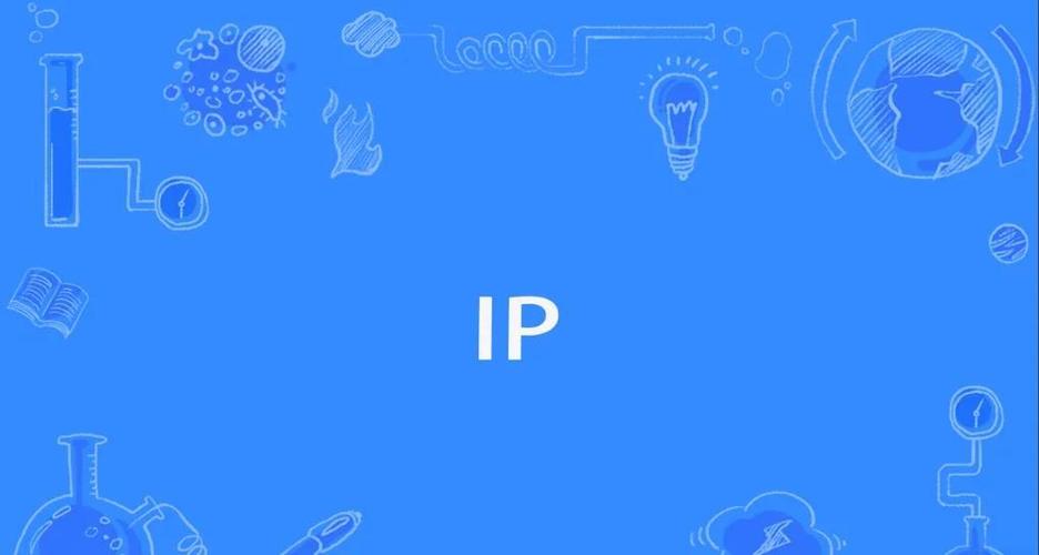 IP的中文意思截图