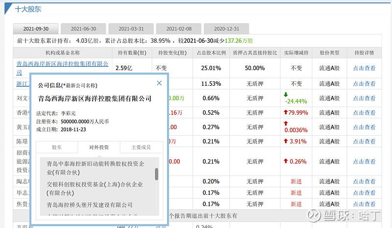 哪里可以看质押信息图标