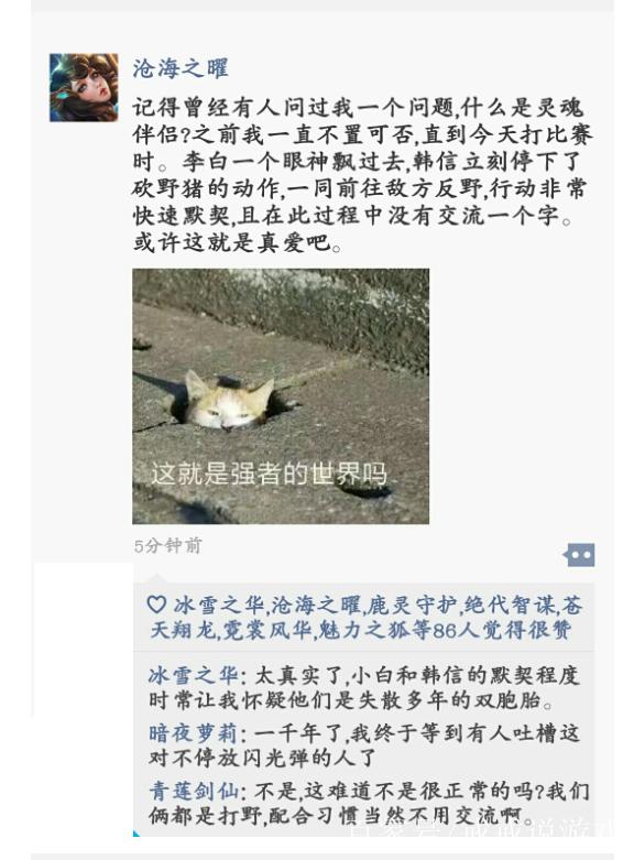 王者荣耀朋友圈配文