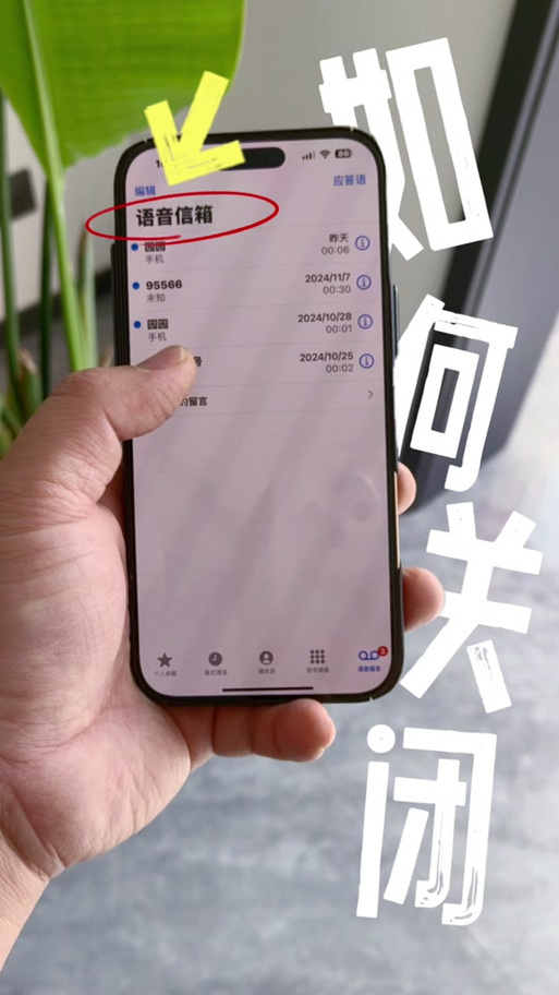 苹果手机设置语音留言如何取消图标