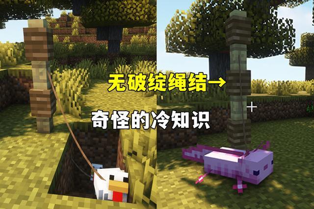 雪傀儡有伤害吗图标