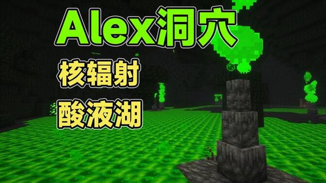 我的世界alex毒化矿洞
