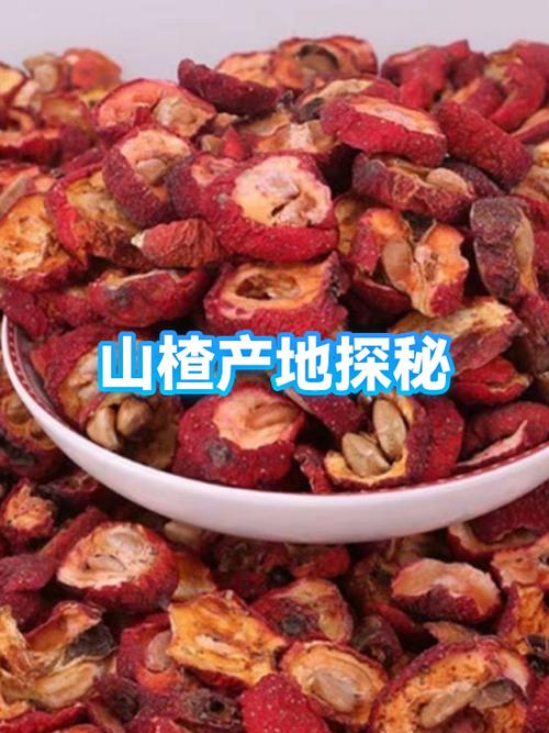山楂最好三个产地图标
