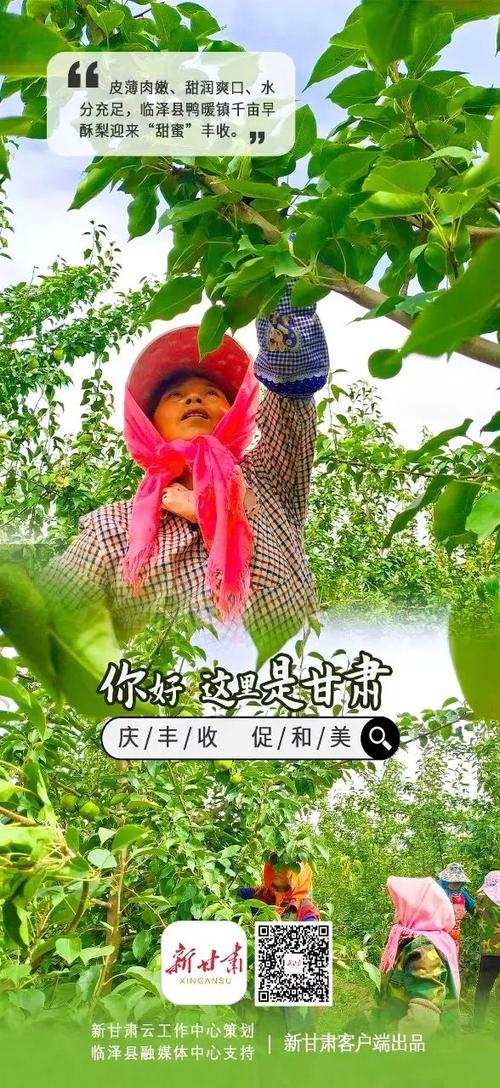苹果采摘园朋友圈文案图标