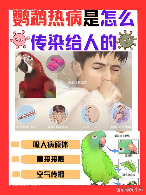 鹦鹉病毒会传染人吗图标