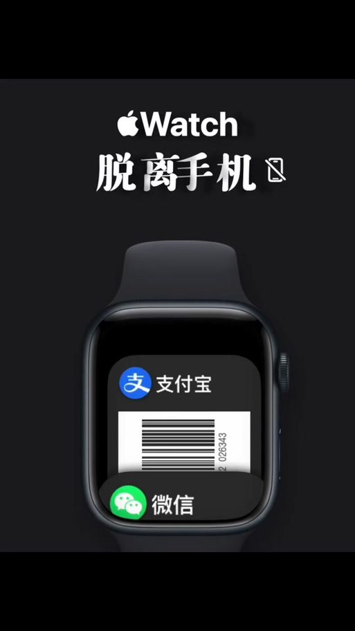 华为手环可以离线支付吗图标