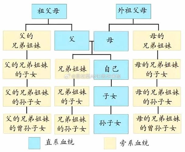 基因同源与亲缘关系的区别图标