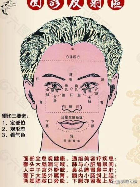 面诊十二句口诀截图