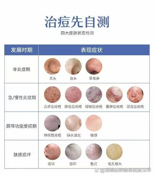 手机识别皮肤病app图标