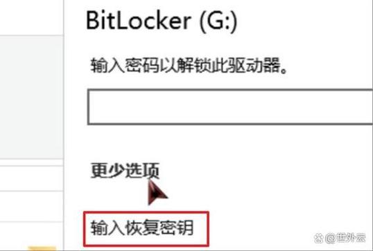 surface输入恢复密钥截图