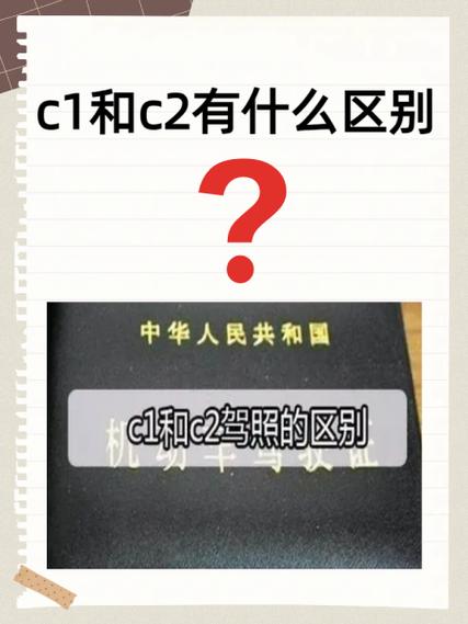C1C2什么意思