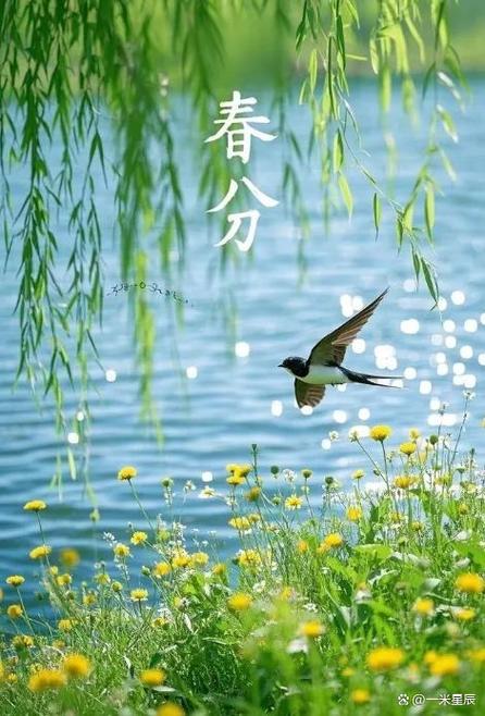 24节气春分图片图标