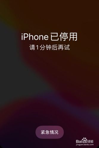苹果忘记时间限制密码截图