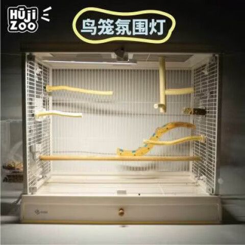鹦鹉晚上需要灯光吗图标
