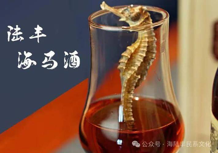 海马酒广告截图