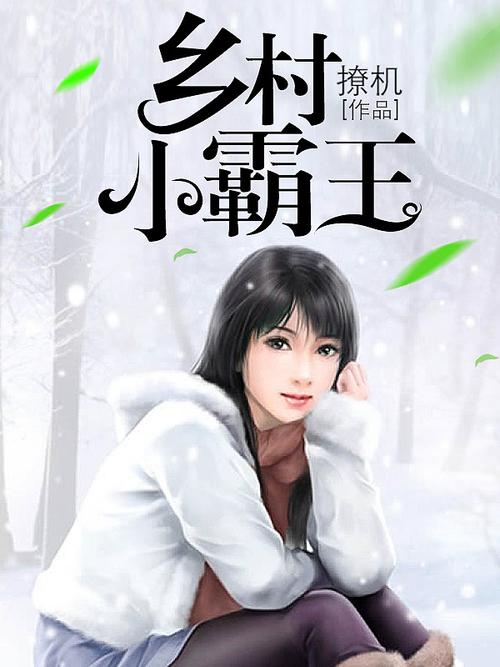 乡村小霸王在线阅读图标