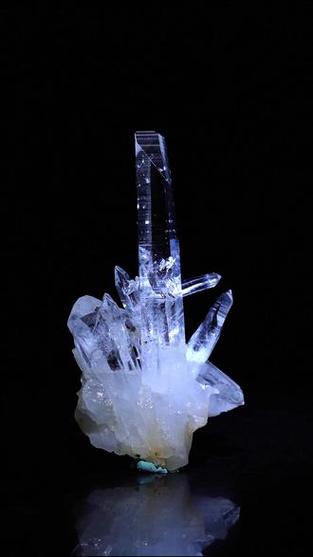 水晶体是晶状体吗图标