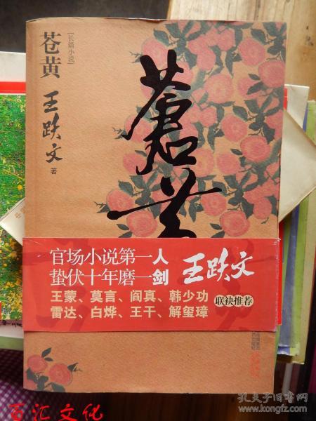 长篇官场小说2018截图