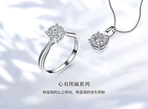 定制玫瑰花一生一次截图