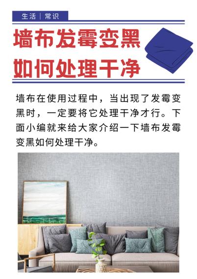 墙纸上发霉的霉点怎么去除图标