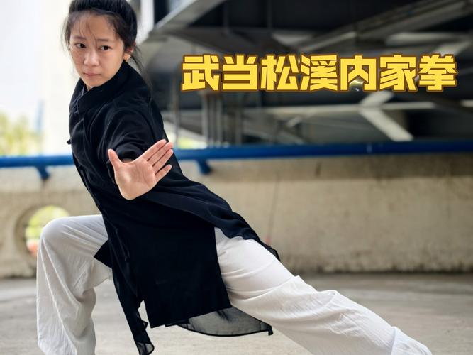 华娱:教茜茜练内家拳截图