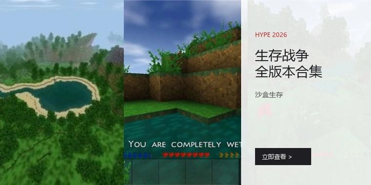 生存战争版本大全下载图标