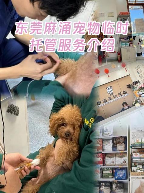 宠物托管多少钱一天图标