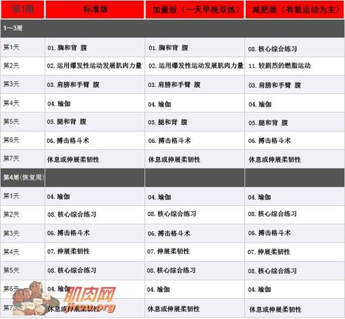 减脂训练计划图标