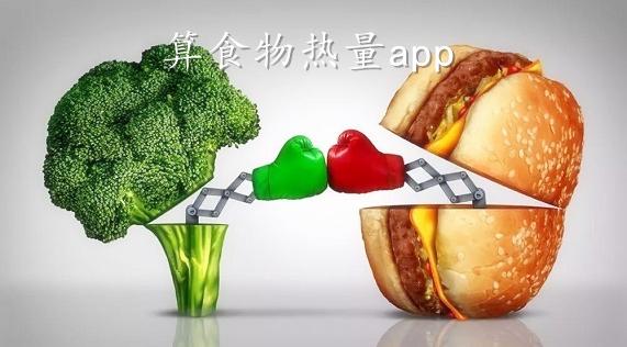 计算食物卡路里的APP图标
