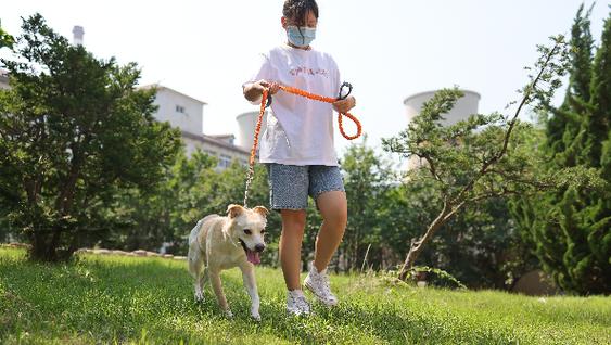 代遛狗多少钱1小时图标