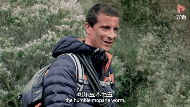 贝爷生存世界种子截图