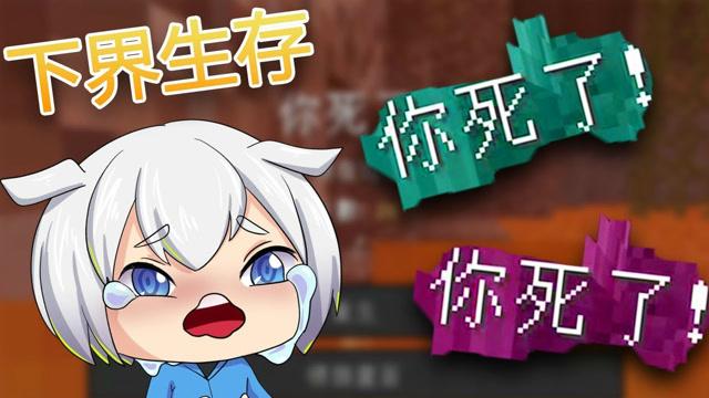 小白下界生存解说图标