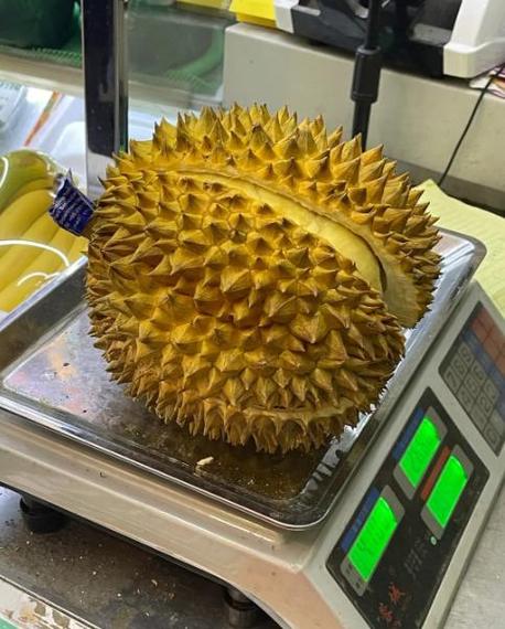 买榴莲图标