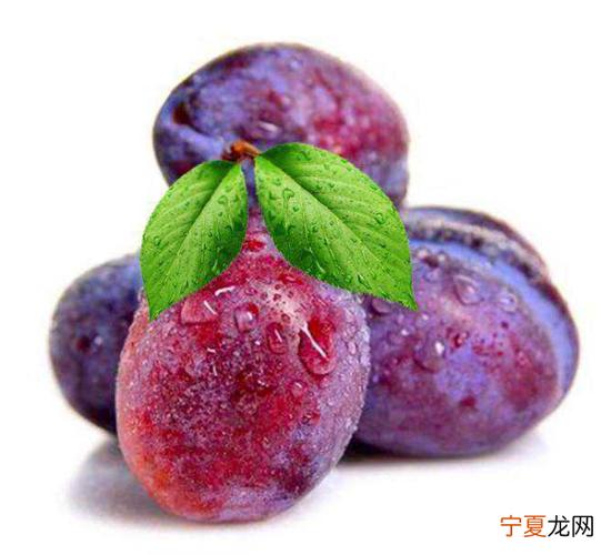 西梅干泡水的功效与作用图标