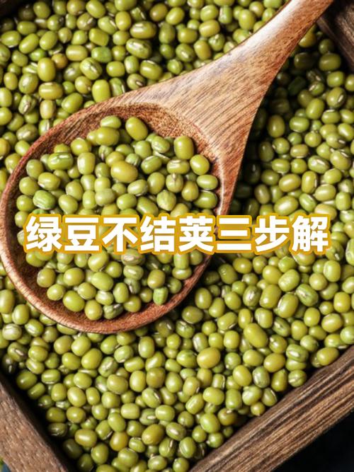 豆子不结荚的原因和解决方法