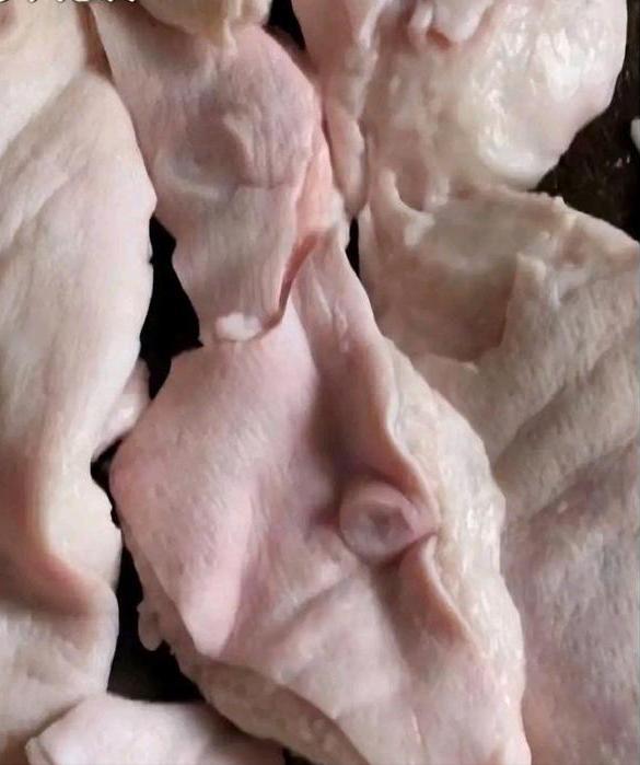 买的猪肉有奶头是母猪肉吗图标