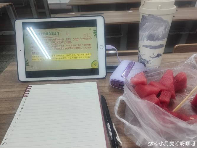 怎样查看平板使用时间图标
