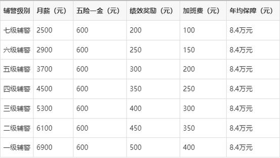 中国特警一个月工资多少截图
