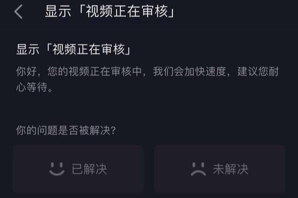 作品审核中请稍后再试什么意思图标