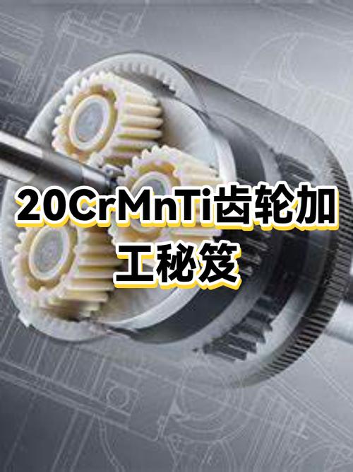 免root加速齿轮缩略图