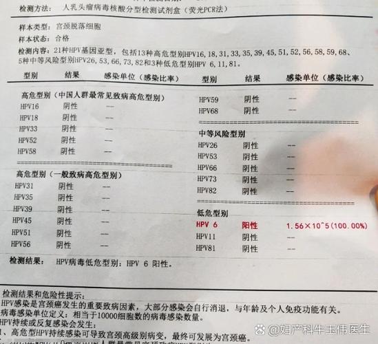 hpv6感染后会不会自己自愈图标