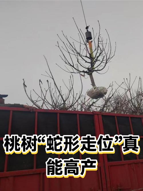 蛇形走位图标