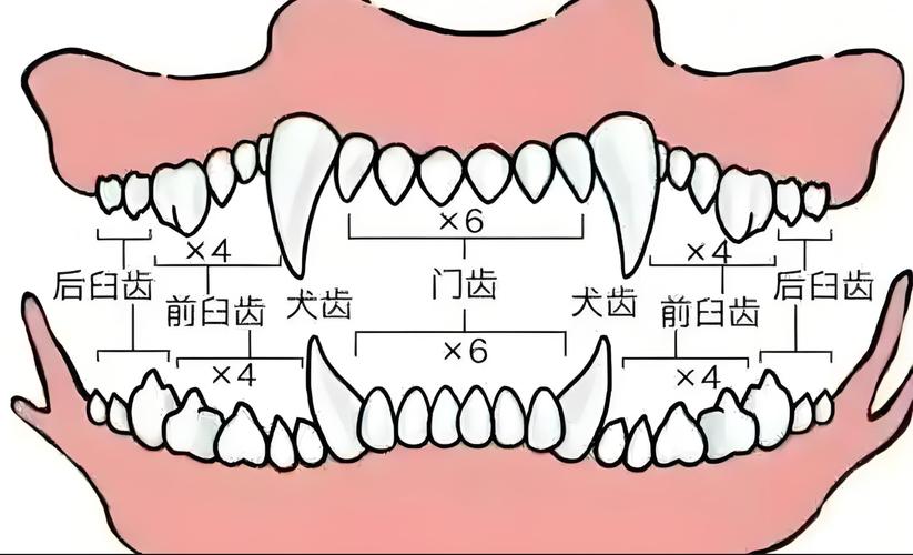 《犬齿之家》电影免费图标