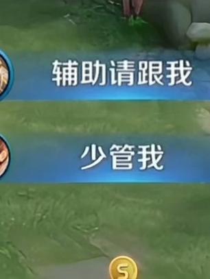 玩辅助能上王者吗