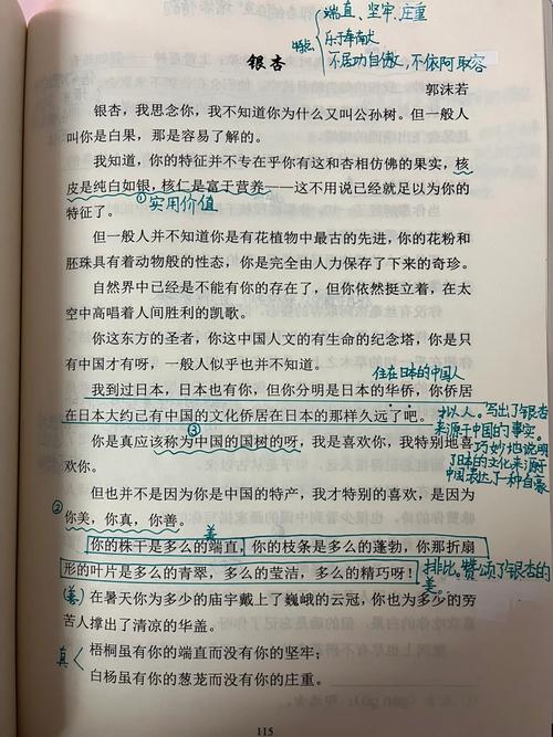 银杏,银杏小说图标
