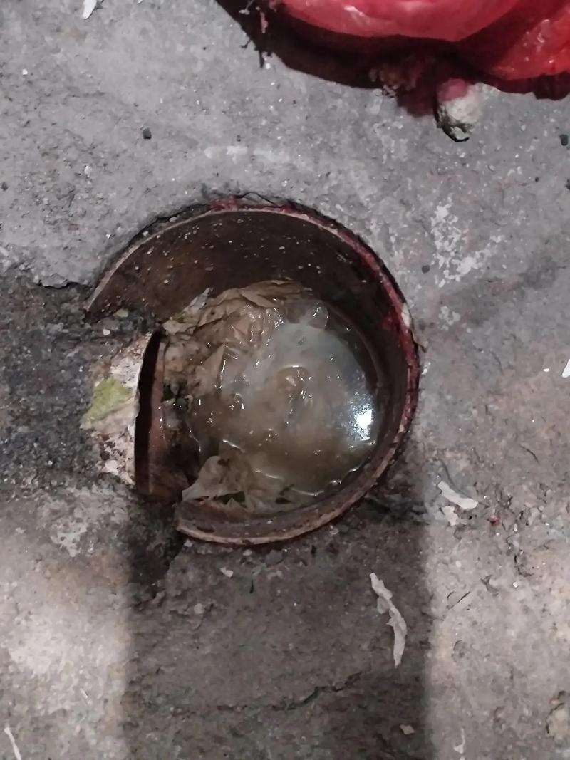 毛巾掉下水道多久会烂图标