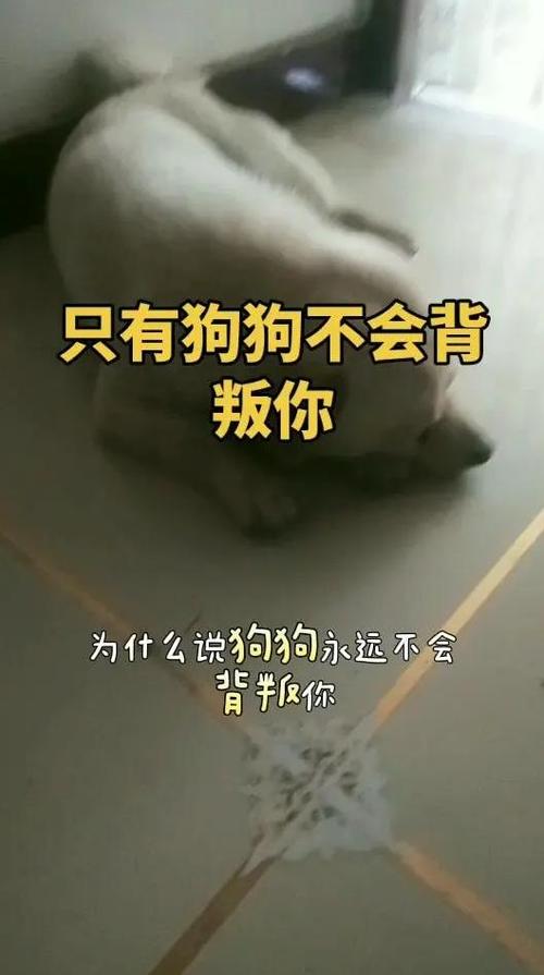 禁止跳转其它app图标